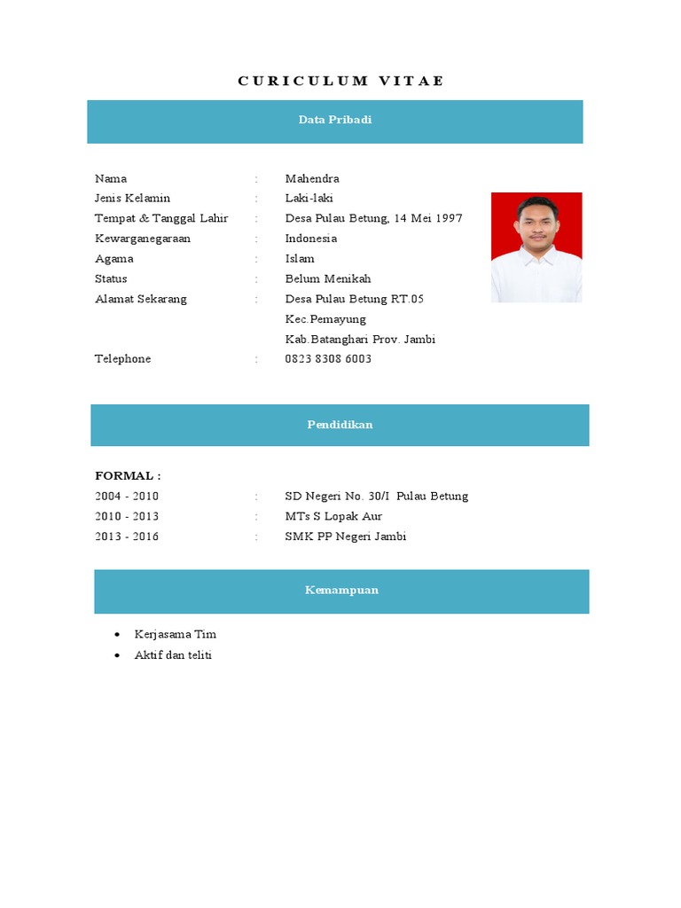 Curriculum Vitae Mahendra | PDF