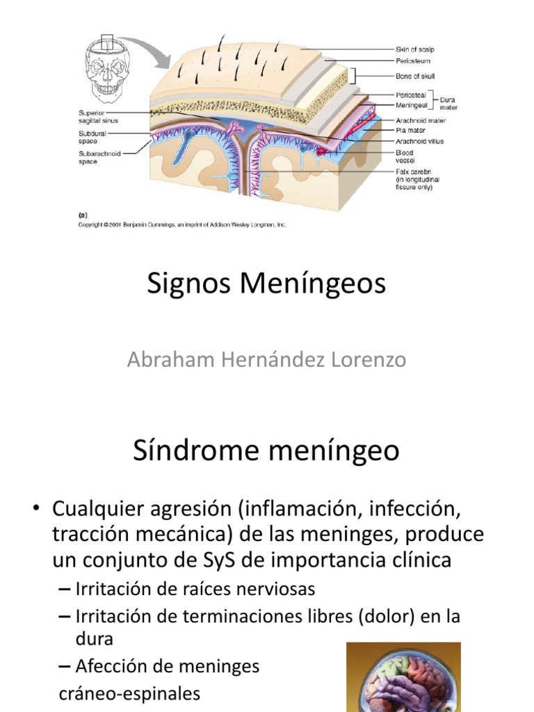 Signos Meníngeos | PDF