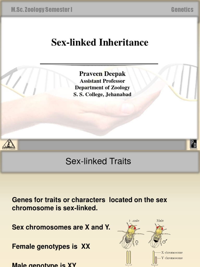 575854100sex-Linked Inheritance | PDF | Dominance (Genetics) | Haemophilia