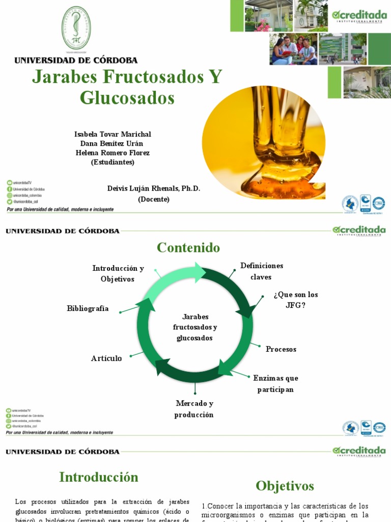 Jarabes Fructosados y Glucosados seminario biotecnología (1) | PDF ...