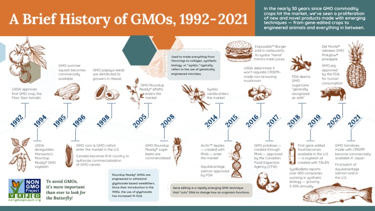 NGMO Infographic Timeline FINAL | PDF | Genetically Modified Organism | Food And Drink
