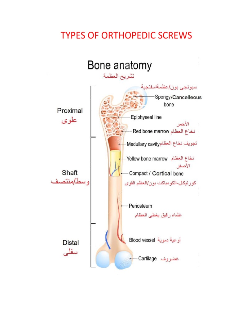 Types of Orthopedic Screws | PDF