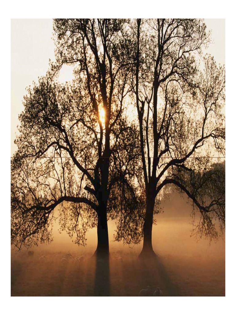 CT - Introduction & Principle | PDF | Ct Scan | Medical Imaging