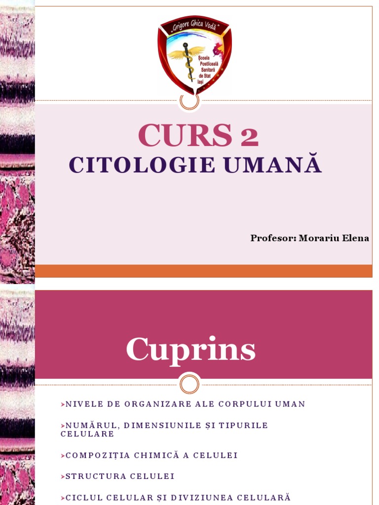 Curs S3 | PDF
