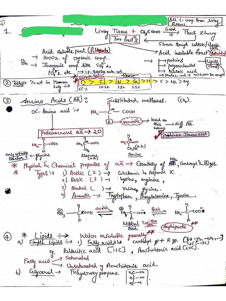 Biomolecules Full Notes | PDF