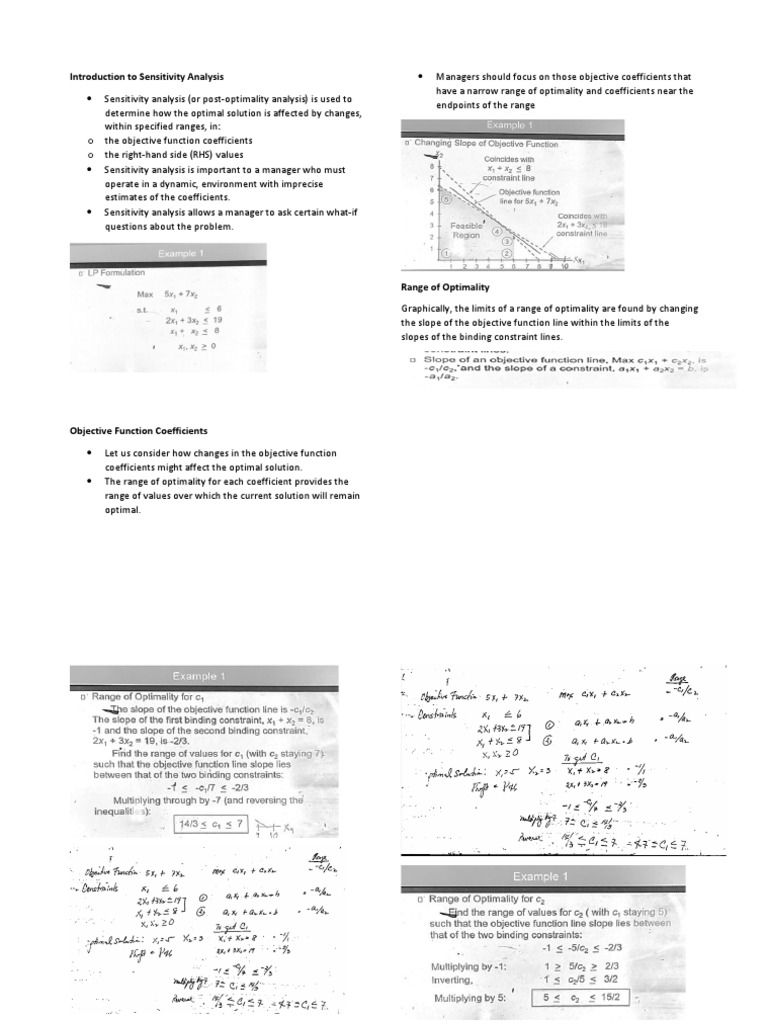Introduction To Sensitivity Analysis Pdf Prices Loss Function