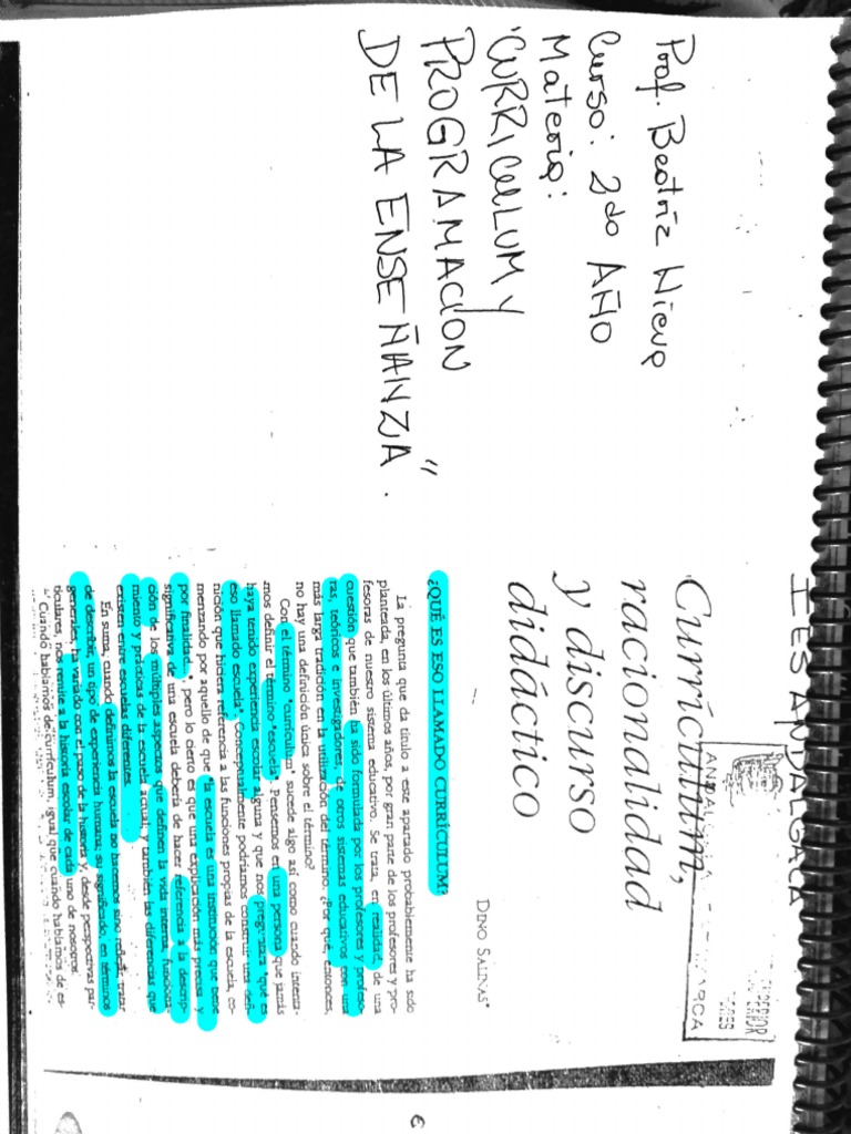 Currículum, Racionalidad y Discurso. DINO SALAS@ | PDF