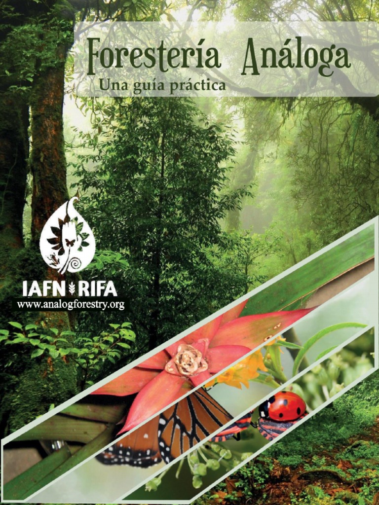 Guía de Forestería Análoga y Biodiversidad | PDF | Los bosques | Ecosistema