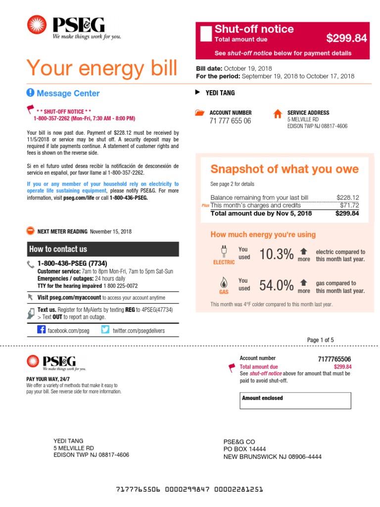 PESG Bill | PDF | Cheque | Credit Card