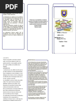 Triptico de La Tolerancia | PDF | Tolerancia | Política (general)