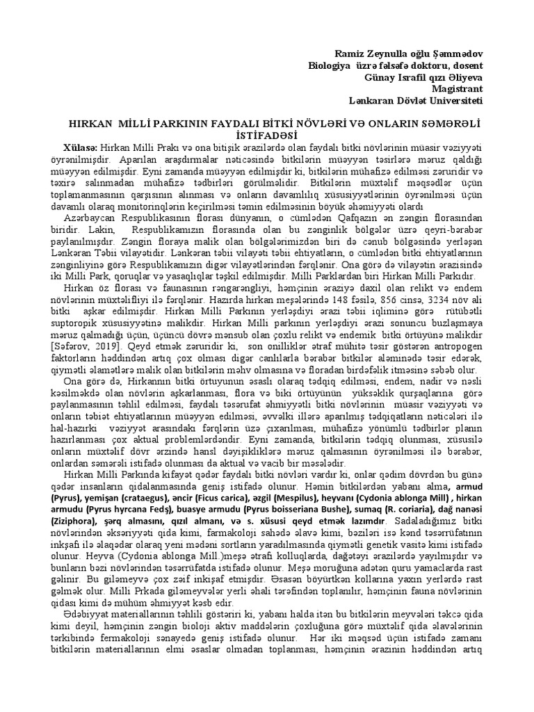 Tezis 1 Günay | PDF