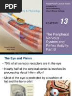 Pyramidal vs Extrapyramidal Tracts | PDF | Neuroscience | Neuroanatomy