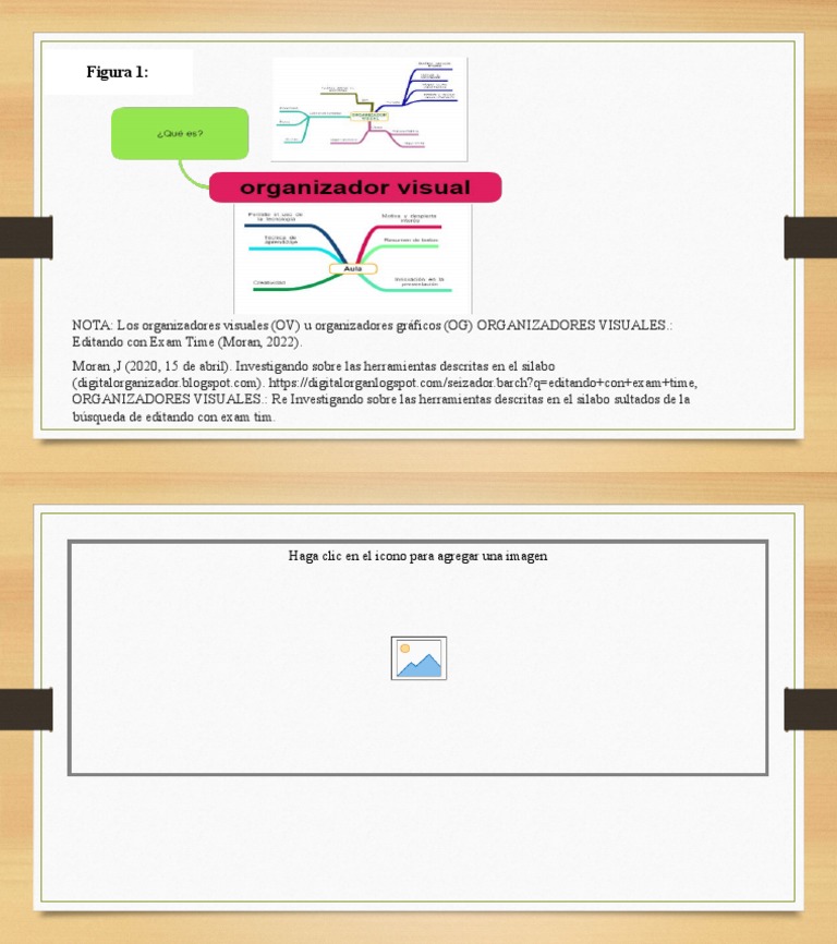 Organizdor Visual | PDF