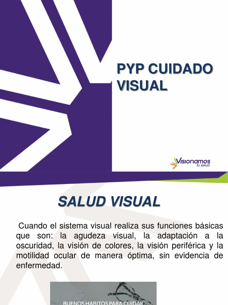 Pyp Cuidado Visual | PDF | Percepción visual | Ojo