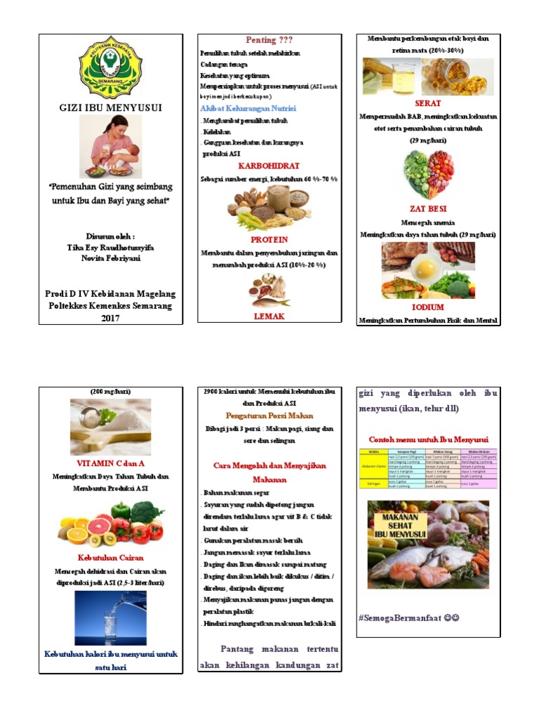 leaflet GIZI IBU MENYUSUI | PDF