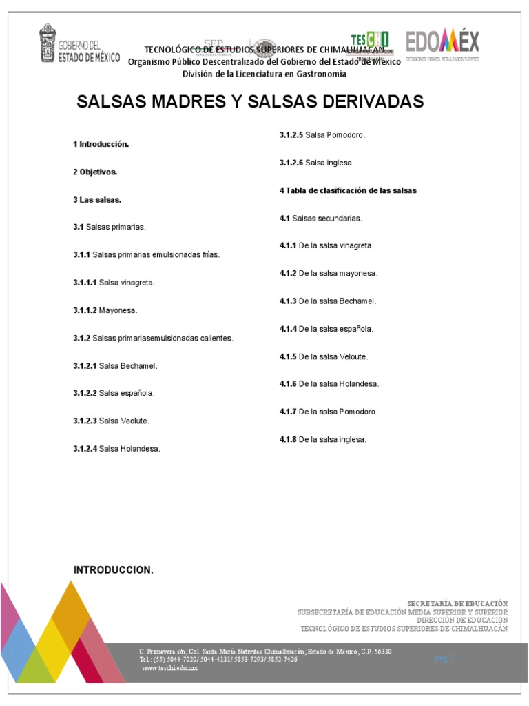 Salsas Madres y Salsas Derivadas | PDF | Salsa | Mayonesa