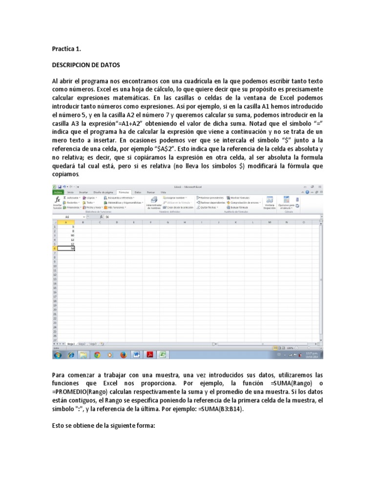 Practica 1 Descripcion de Datos | PDF | Hoja de cálculo | Microsoft Excel