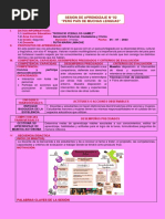 1 Sesion de Aprendizaje - Democracia y Paricipación Ciudadana | PDF | Aprendizaje | Democracia