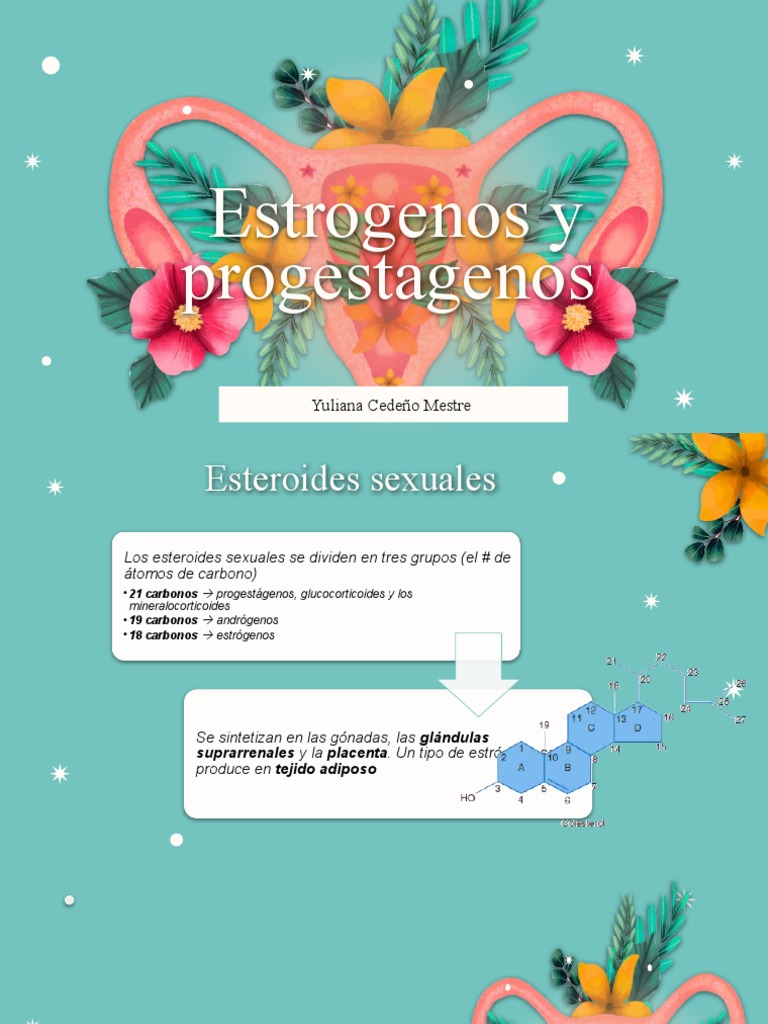 Estrogenos y Progestagenos | PDF | Estrógeno | Ciclo menstrual