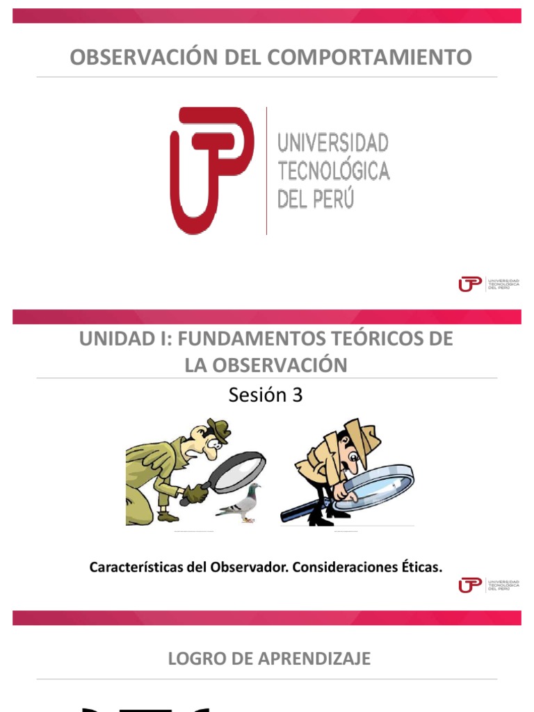 Unidad 1 - Sesion 3 - Caracteristicas Del Observador y Sus ...