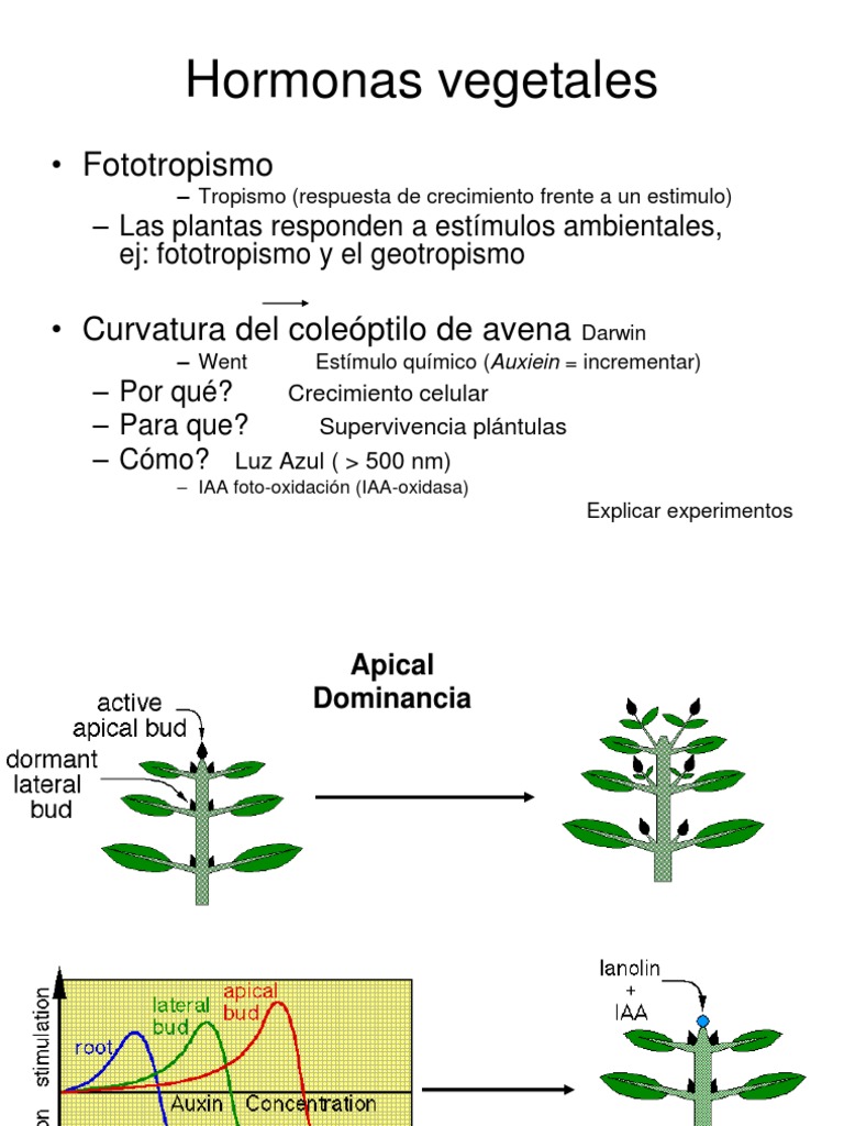 Clase Hormonas | PDF | Hormona Vegetal | Auxina