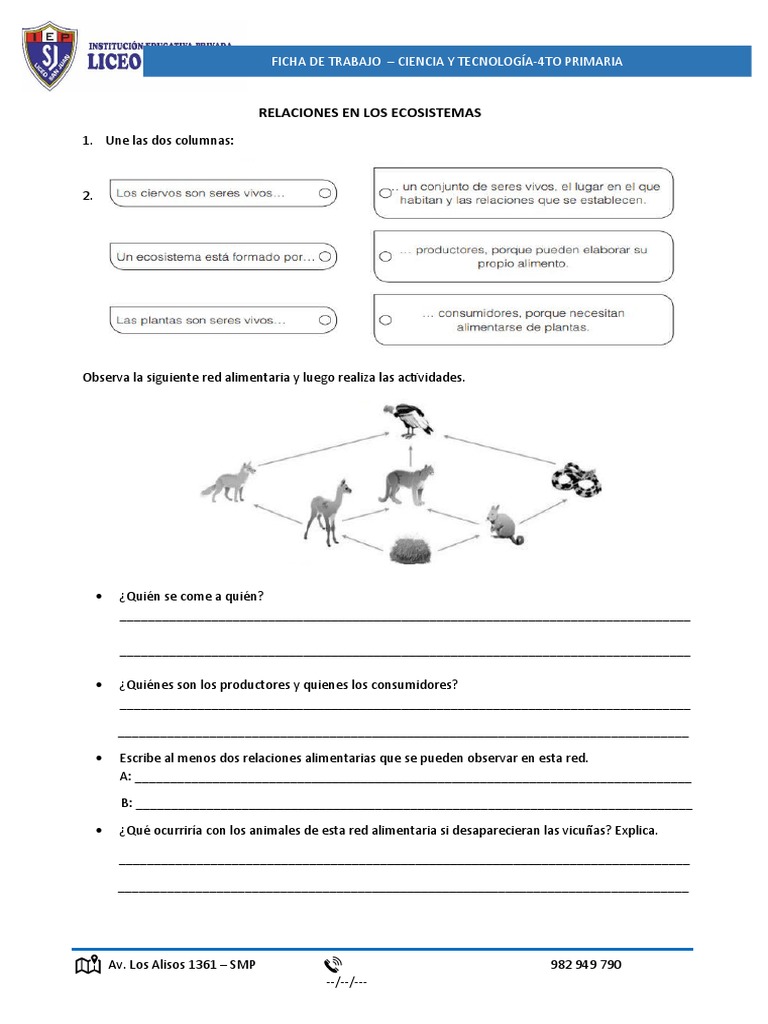 FICHA DE TRABAJO CYT 4TO PRIMARIA Relaciones Entre Los Seres Vivos | PDF