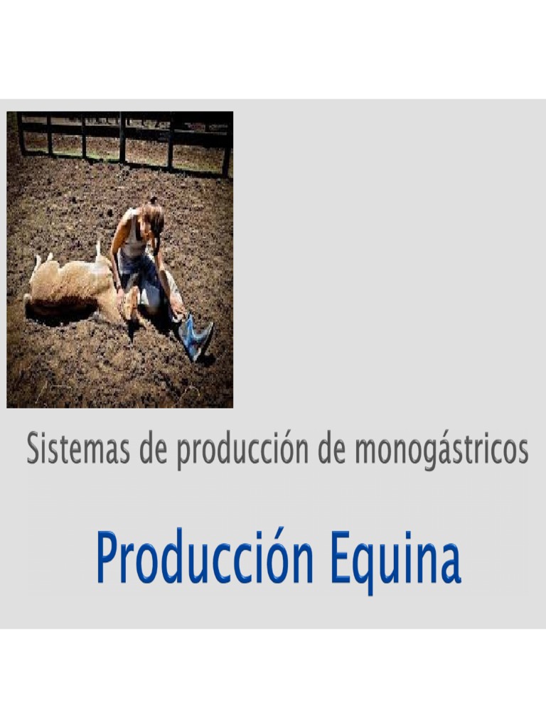 Sistemas de Producción de Monogastricos Produccion Equina | PDF ...