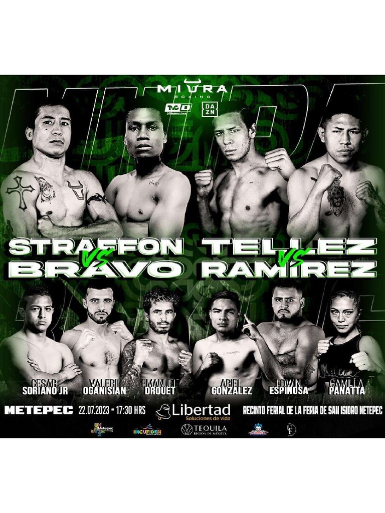 Cartelera Función de Box Metepec | PDF