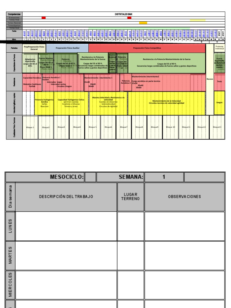 Plan de Entrenamiento Deportivo | PDF | Science | Unidades de medida