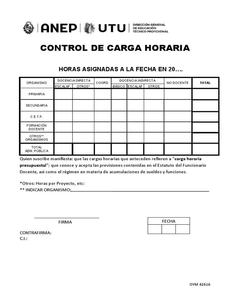 Control de Carga Horarioa | PDF