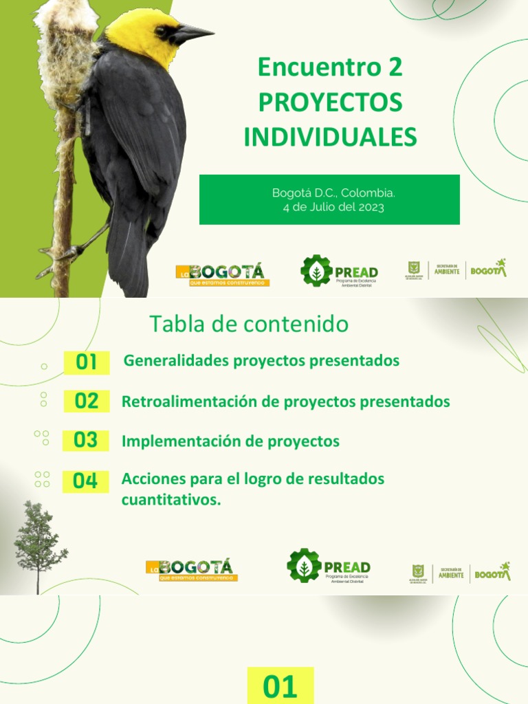 PREAD 2 Proyectos 4.06.2023 | PDF | Sustentabilidad | Economias