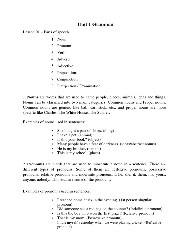 Unit 1 Grammar | PDF | Pronoun | Noun