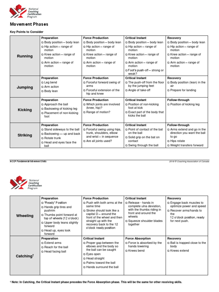 NCCP Movement Phases Chart | PDF | Anatomical Terms Of Motion | Hip
