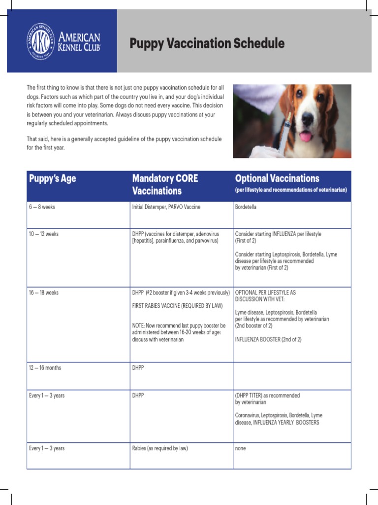 Puppy Vaccination Schedule Overview | PDF | Medicine | Health Sciences