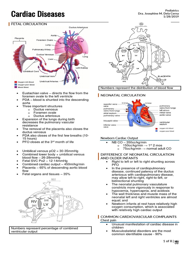 Pediatric Cardiac Disease Overview | PDF | Heart | Causes Of Death