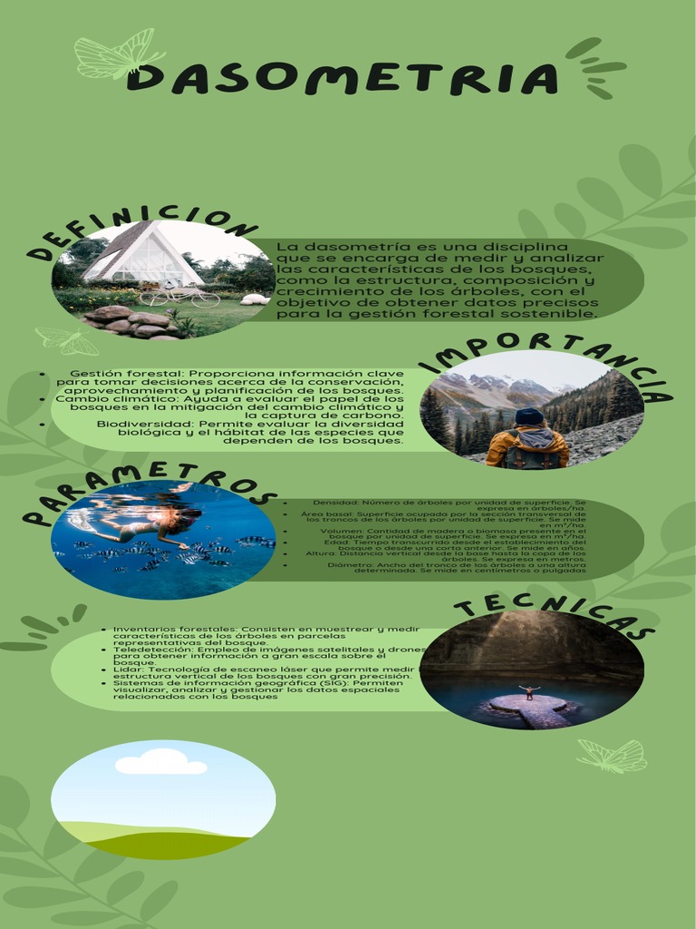 dasometria | PDF | Los bosques | Arboles