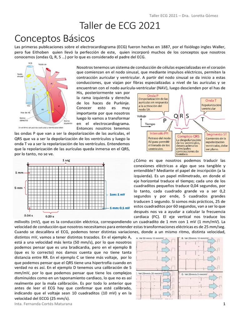 Taller ECG 2021 | PDF | Electrocardiografia | Corazón