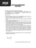 Carta Solicitud de Planilla Complementaria | PDF