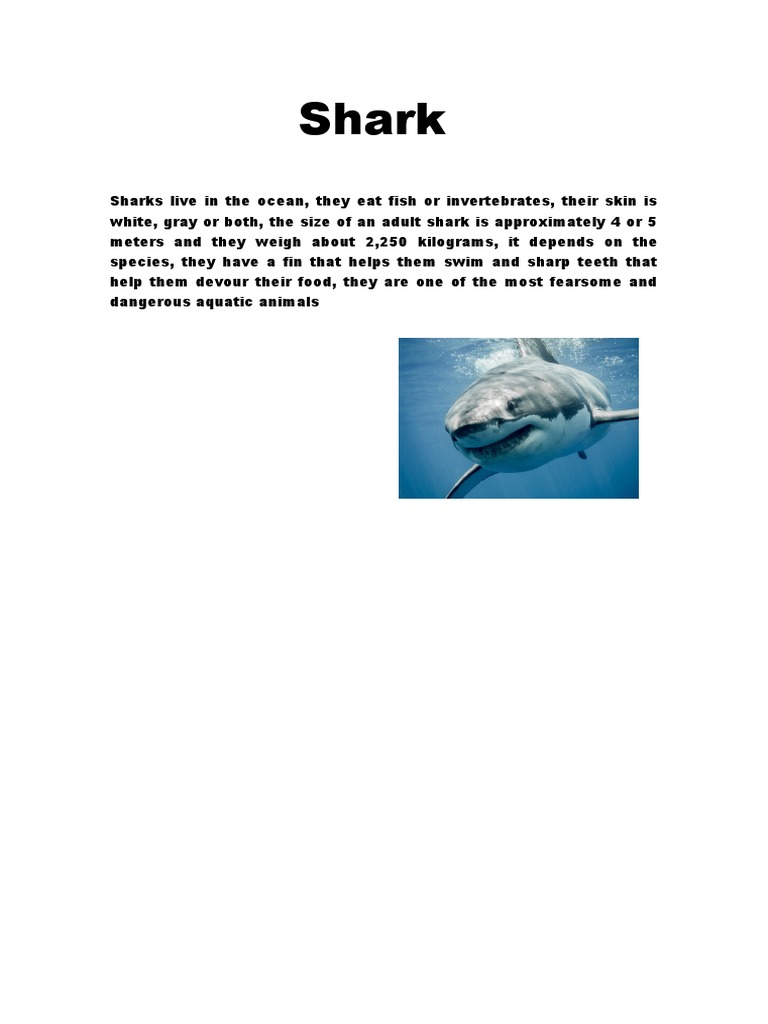 Ingles- Shark (1) | PDF