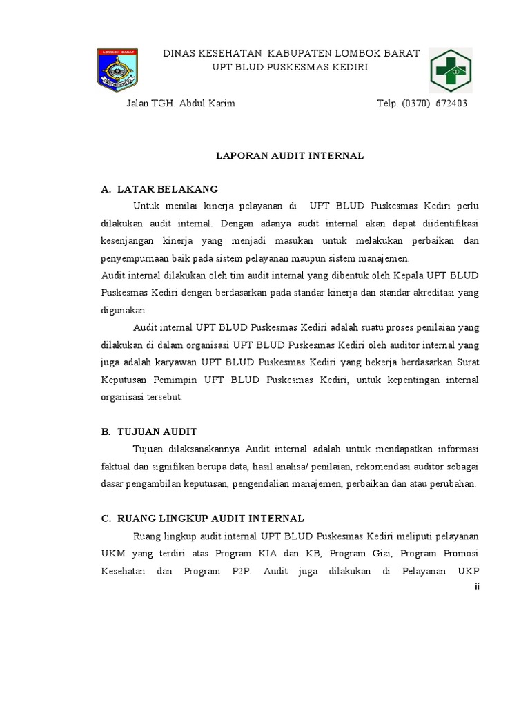 Laporan Audit Internal | PDF