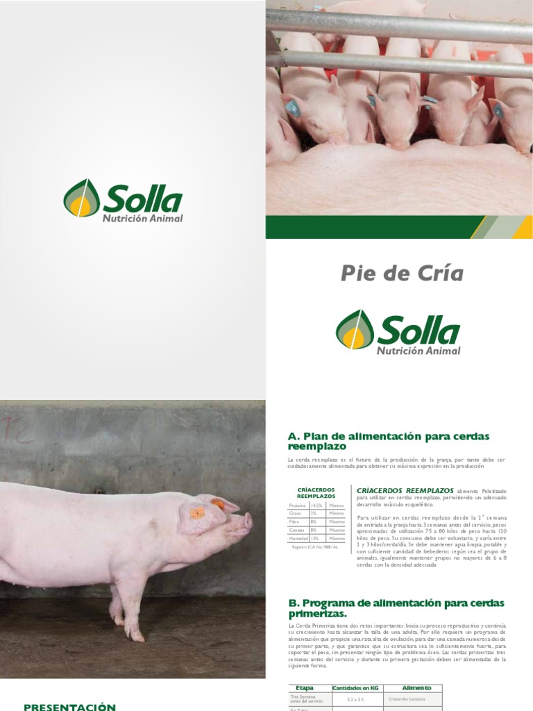 OC 104 Solla Balanceados Folleto Solla Porcicultura 28feb12 Piedecria ...
