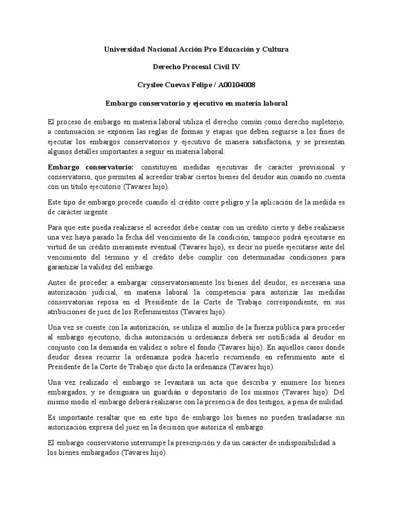 Embargo Conservatorio y Ejecutivo Laboral | Descargar gratis PDF ...
