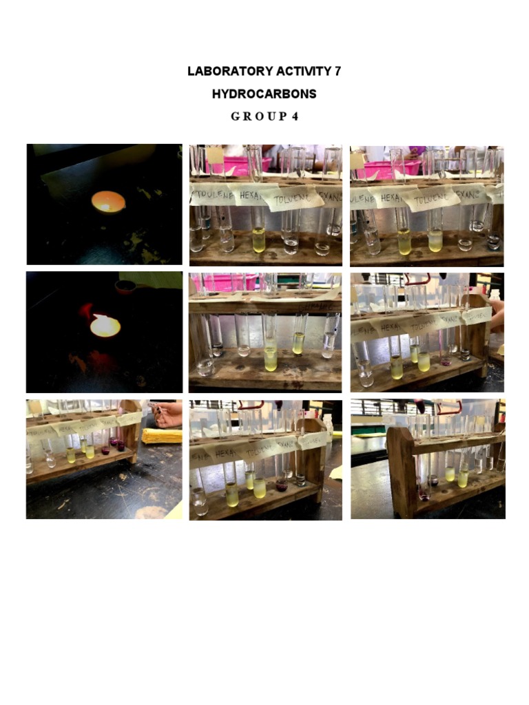 Laboratory Activity 7 | PDF