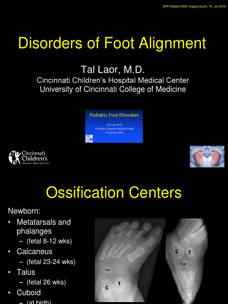835 (Laor, Tal) | PDF | Foot | Anatomical Terms Of Motion