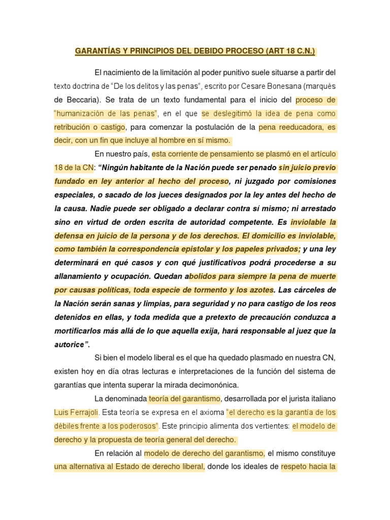 4 - Garantías y Principios Del Debido Proceso | PDF | Debido al proceso ...