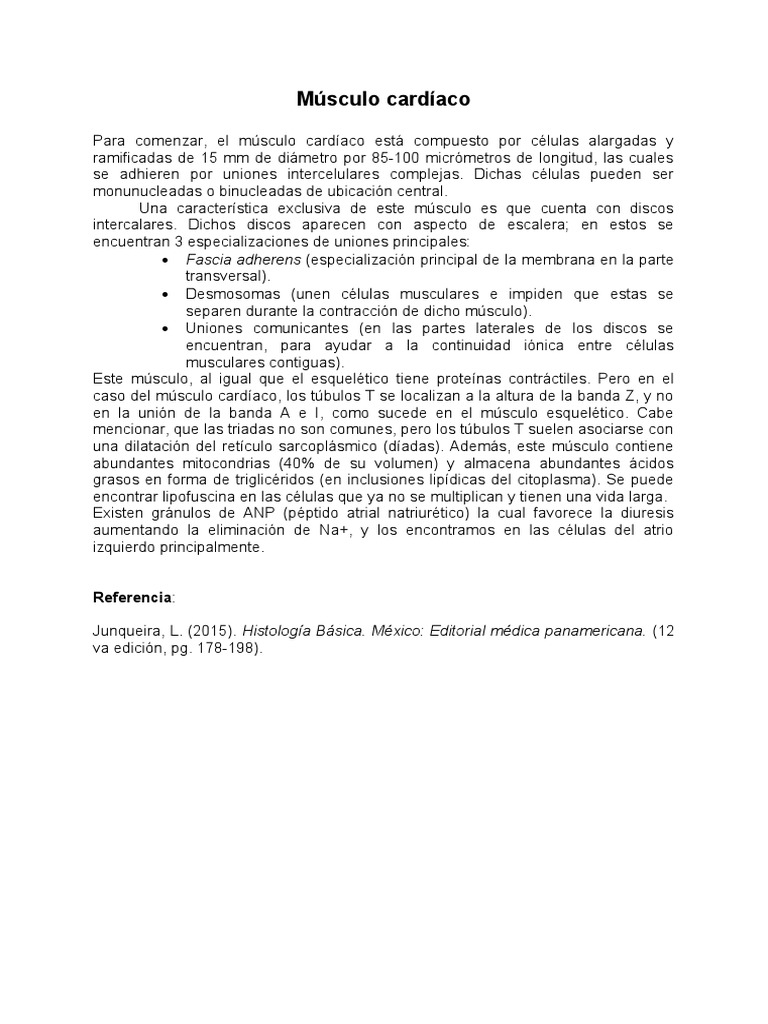Anatomía del Músculo Cardíaco | PDF | Relaciones personales, crianza y ...