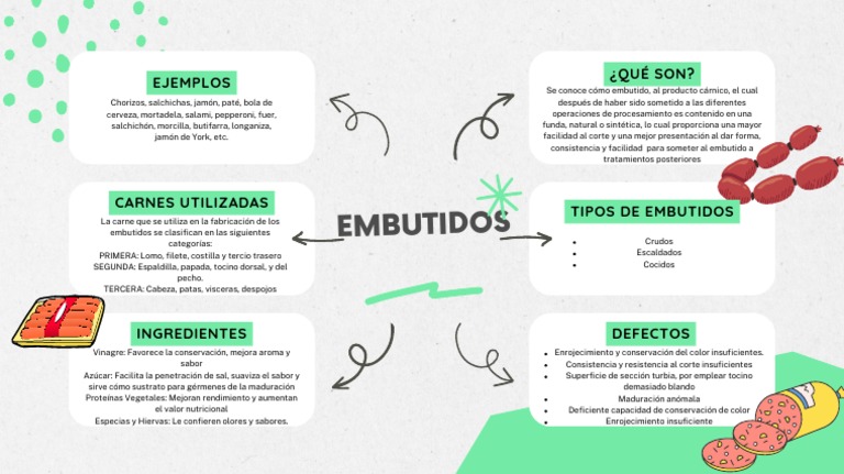 Clasificación y ejemplos de embutidos | PDF | Carne | Tocino
