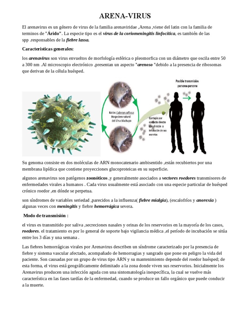 Arenavirus | PDF