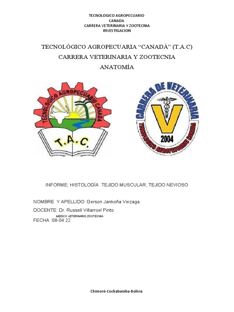 Caratulas Tac[1] | PDF