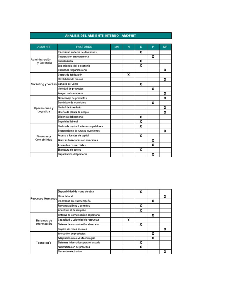 Analisis Del Ambiente Interno - Amofhit | PDF | Gestión de recursos ...